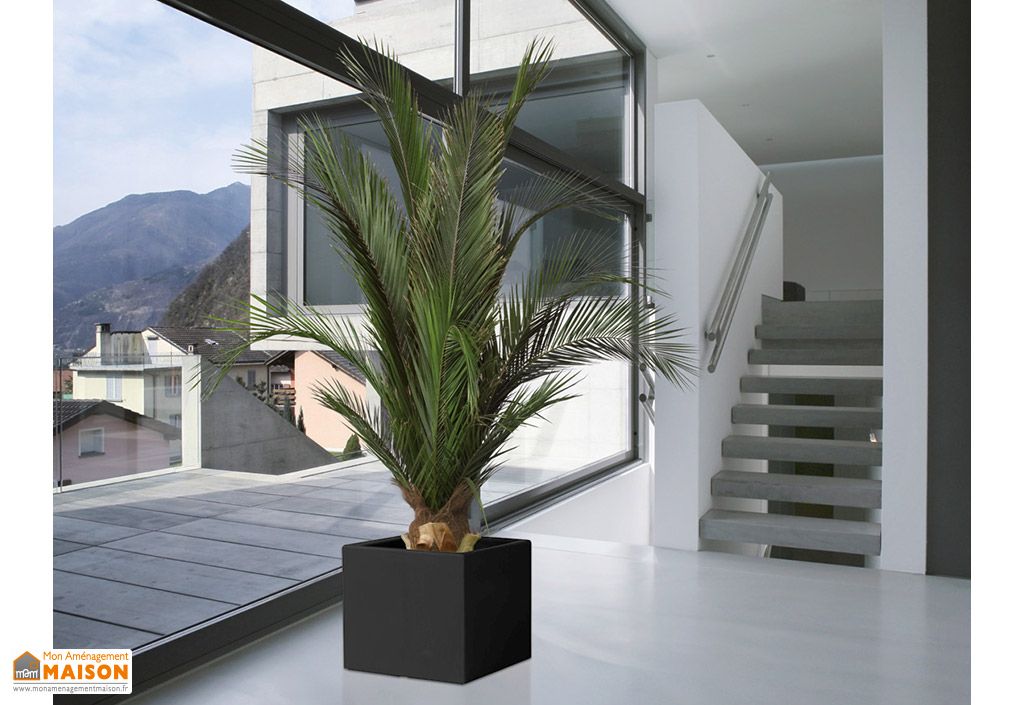 Arbre stabilisé Phoenix Palm Tree – 1,50 m - Greenmood