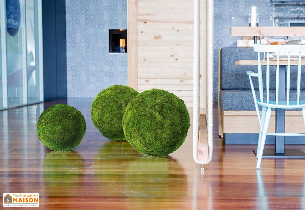 Plante Stabilisée Sphère Mousse (Pls Tailles) - Greenmood